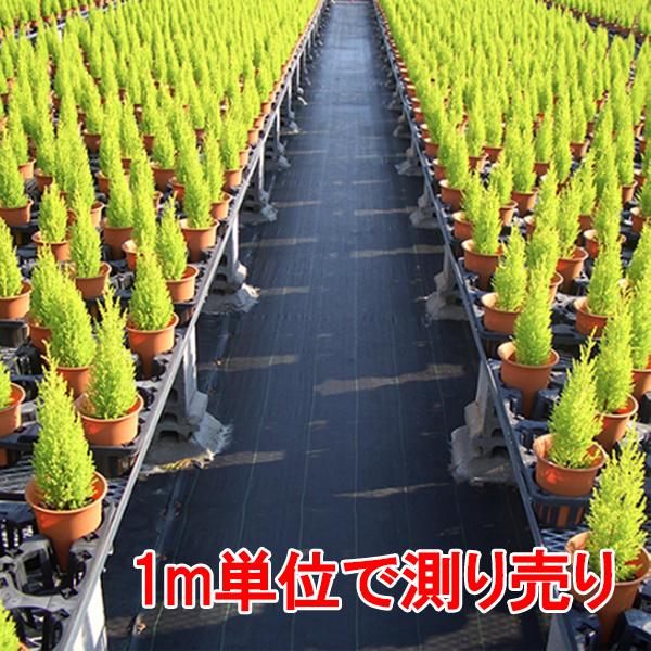 高い光反射率と優れた遮熱効果を持つ農業用織物防草シートを1m単位で必要な長さにカットしてお届けします。ご希望のm数を数量として入力してご注文ください。価格は1mあたりの価格となっております。■特徴　通気性の高い織で優れた防草効果があります。...