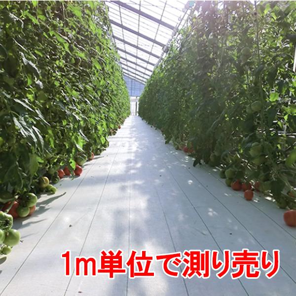 高い光反射率と優れた遮熱効果を持つ農業用織物防草シートを1m単位で必要な長さにカットしてお届けします。ご希望のm数を数量として入力してご注文ください。価格は1mあたりの価格となっております。■特徴　白い糸で従来品より高い太陽光の反射率を実現...