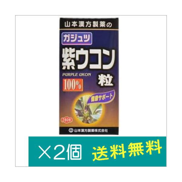 「ガジュツ紫ウコン粒100% 280粒」は、ショウガ科の植物、ガジュツ(紫ウコン)を飲みやすい粒状に仕上げた食品です。紫ウコンとは、ショウガ科の植物、ガジュツの別名で、花の一部が薄い紫色をしているため、そう呼ばれています。毎日の健康維持にお...