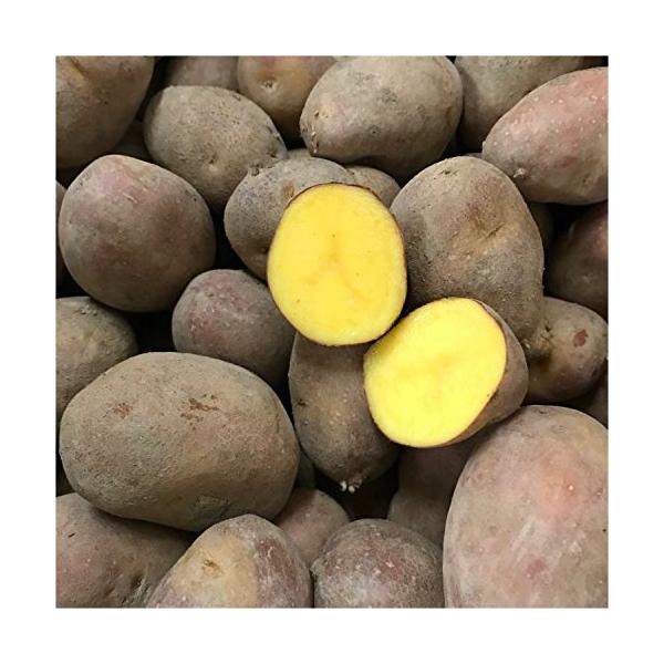 「商品情報」・発育が早い為、【芽】が出ている事があります。調理の際は、皮と一緒に【芽】も取り除き食してください。・発育途中で朝と夜の急激な温度変化などで身が黒くなる事があります。調理の際は、黒い部分を取り除き食してください。「主な仕様」南ア...