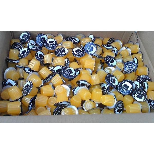 長寿メインのイエロータイプ　１６ｇの昆虫ゼリーバラ５０個での販売です。従来の高タンパク、高カロリーゼリーにブドウ糖、クエン酸、トレハロースを強化配合しブリーディング及び長寿によりよい効果が出るよう再開発ました！国産はもちろん、外国産の昆虫に...