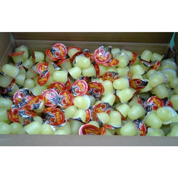 最も栄養価が高く、国産はもちろん、特に外国産の昆虫に適したゼリーです。従来の配合に加え、動植物性高タンパク質・トレハロース・コラーゲンを強化配合しています。産卵促進・増加・産後の体力回復などに抜群の効果を発揮します。お得な５００個入り　バル...