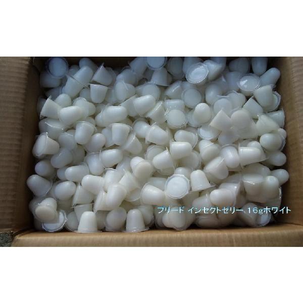 お勧めの新商品です。お勧めのブリード　インセクトゼリーが１６ｇカップで新登場！！昆虫の体内から活動を活発化させるグルコースや符節取れ・生殖能力の要になるガラクトースを豊富に入れトレハロースや各種ビタミンをバランス良く入れる事により産卵・長寿...