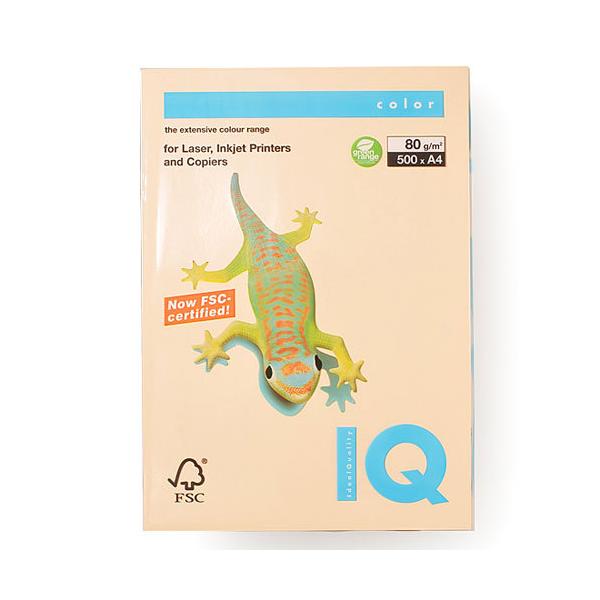 ●品番:BT515●入数:５００枚●両面印刷ができる上質カラーペーパー。