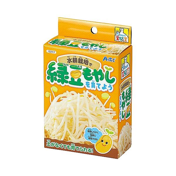 ●品番:102917●入数:１個●土がなくても育つ　水耕栽培セット水耕栽培で緑豆もやしを育てよう