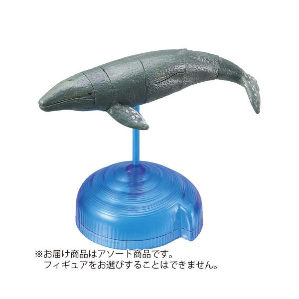 ●品番:021270●入数:１個●リアルな海の生き物の立体パズルフィギュア●バラバラのパズルを組み立てるとリアルな海の生き物に！全4種類の中からどれが当たるのかはお楽しみ。