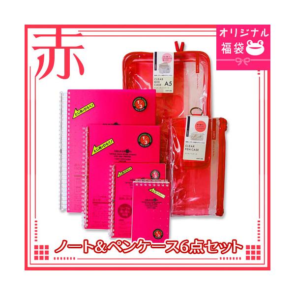 ●品番:A-8100-3＋α●入数:１セット●赤で統一したクリアケースと多サイズノートのセット、毎日のメモや整理がもっと楽しく。●ペン約２０本収納のクリヤーケースと豊富なサイズのノートで、授業もレポートも効率よく赤で統一。●推し色：レッドで...