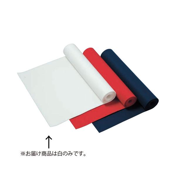 ●品番:Y-AE-03●入数:１枚