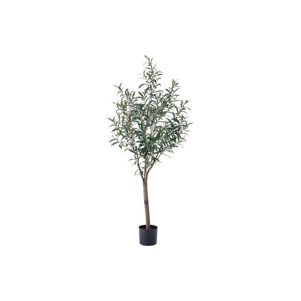 ●品番:GRN-17●入数:１個●フェイクグリーンの商品です。●生花ではありませんので、水やりやお手入れの手間がなく枯れる心配もありません。●日光が当たらないお部屋でも飾ることができ、緑のある空間を演出することができます。