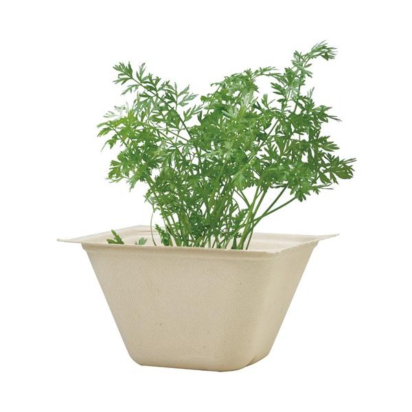 ●品番:093231●入数:１セット●サトウキビ由来のエコ容器で育てる！環境にやさしいバガス栽培セット！●サトウキビの絞りカス「バガス」からできたエコ容器で野菜を育てる栽培セット「バガスグリーン」のミニキャロットです●ミニキャロットは丈夫で...