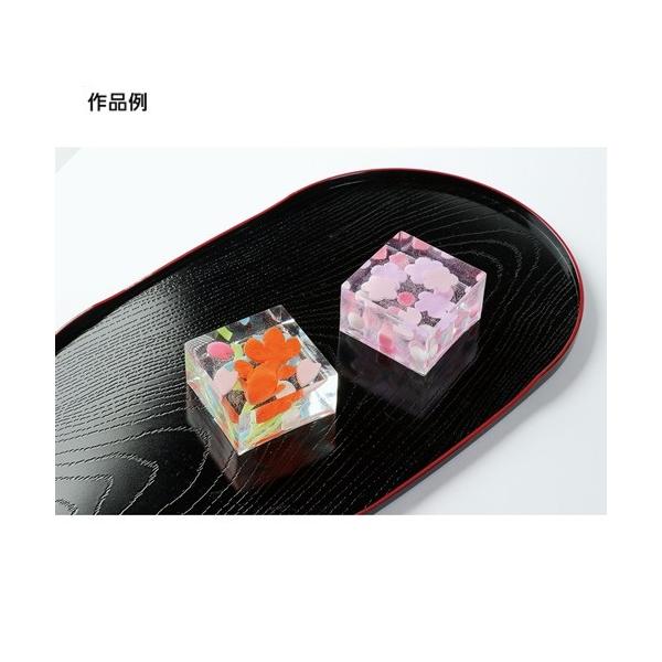 ●品番:012595●入数:１セット●不透明粘土と透明レジンで涼しげな水菓子風フェイクスイーツが作れるキット！●不透明粘土、２液性レジン、シリコンモールドが入ったオールインワンキットです●錦玉羹や水無月羹風の涼しげなフェイクスイーツを作るこ...