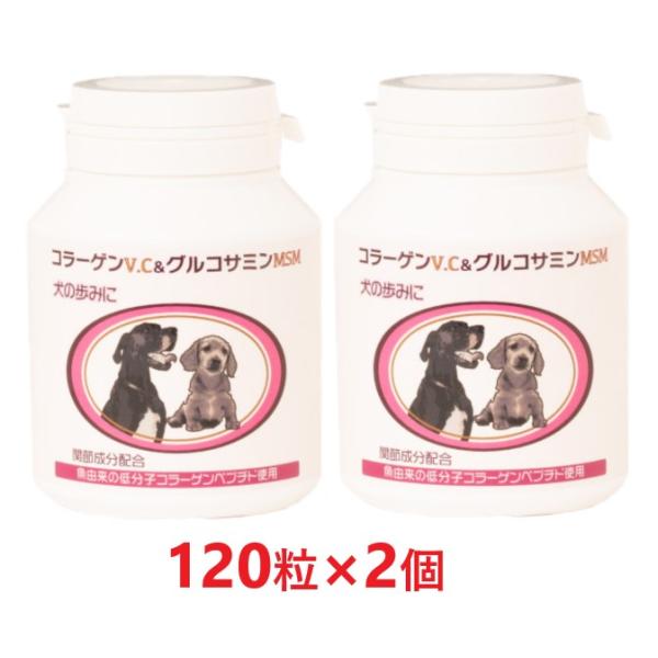 【発売日：2025年10月09日】犬の歩みにコラーゲンV.C＆グルコサミンMSM|犬の歩みに コラーゲン V.C＆グルコサミンMSM|日本ビーエフ|