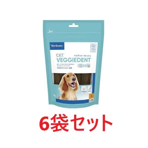 CETベジデントフレッシュS