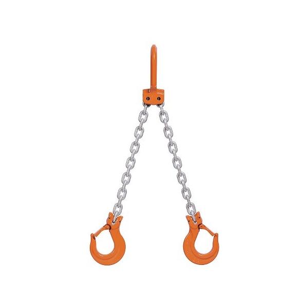 ■【メーカー】：象印チェンブロック（株）■【型番】：2-W-H-6.3■【仕様】●基本使用荷重：1.7ton●端末金具：スリングフック●ビンタイプ二本吊りセット品●質量：4.2kg■【納期】：通常翌日〜4日発送