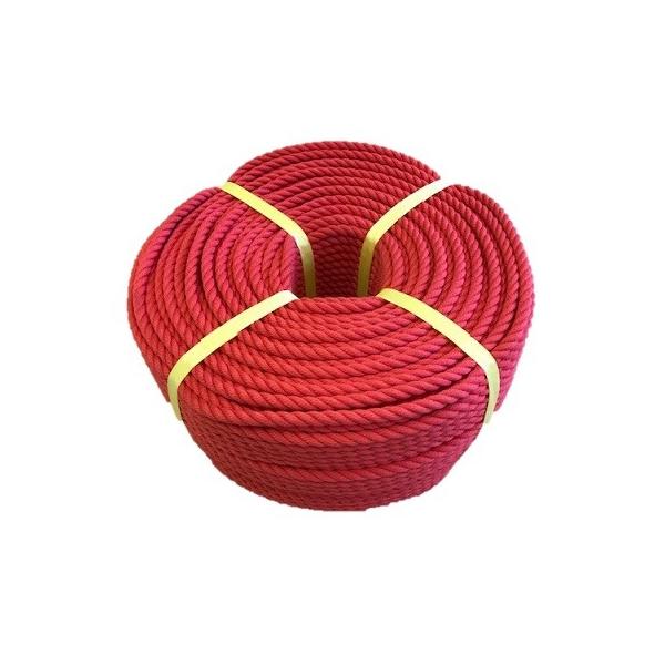 ■【ロープ種類】：ポリエステルスパンロープ■【型番】：DGY200-8■【仕様】●色：赤色●径８ｍｍ×長さ２００メートル巻き●1m質量約39kg●材質：ポリエステル■【納期】：通常翌日〜4日発送
