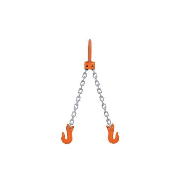 ■【メーカー】：象印チェンブロック（株）■【型番】：2-W-G-6.3■【仕様】●基本使用荷重：1.7ton●端末金具：グラブフック●ビンタイプ二本吊りセット品●質量：4.7kg■【納期】：通常翌日〜4日発送