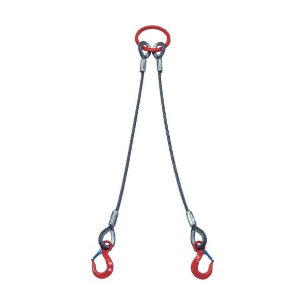 ■【メーカー】：（株）チキリ■【型番】：2W1.0T-1.0-9■【仕様】●ワイヤ径：9mm●基本使用荷重（吊り角度60°以内）：1ton●有効長（リーチ）：1.0m●リング1.25T用●フック0.63T用●自重：2.24kg■【納期】：通...