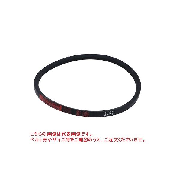 ●心線は高延伸処理の高張力ポリエステルロープを使用しています。●高馬力伝動用に適し、耐熱、耐油、難燃、静電防止(電気抵抗値は米国RMA規格に全て合格)などの優れた特性を持っています。●メンテナンスが困難なとき、レッドラベルは苛酷な条件下でも...