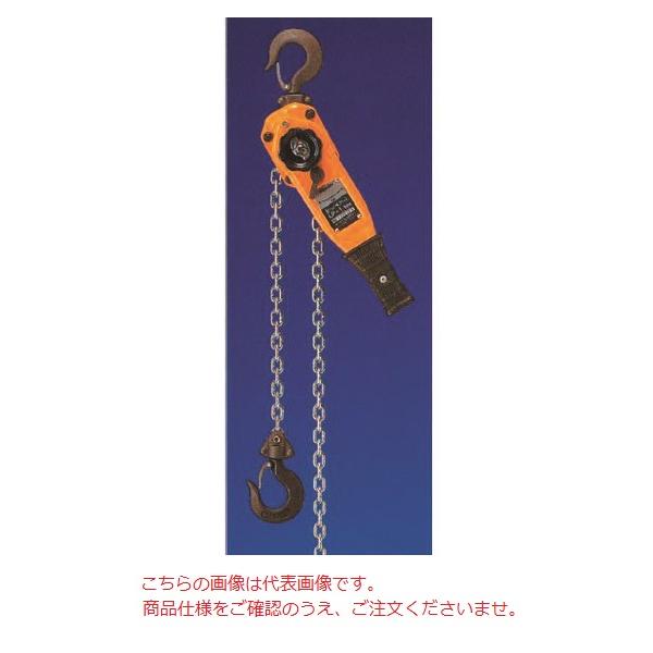 《仕様》●使用荷重：1ton●標準揚程：1.5m●ロードチェーン線径：5.6mm●フック最短距離：282mm●レバー力量：37kg●質量：6.2kg《特長》●たいへんな重量がかかるロードチェーンには、抜群の強さと粘りを発揮する特殊鋼最高級焼...