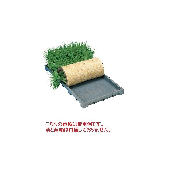 ※北海道・沖縄県・離島へのお届けをご希望の場合は、ご注文前にお問合せくださいませ。《仕様》●入数：20枚●使い切りタイプ《特長》●育苗箱の底に敷くだけで、根の張りが良くなり、ガッチリした健苗ができます。●ねはりシートは水分を貯水し、苗が必要...