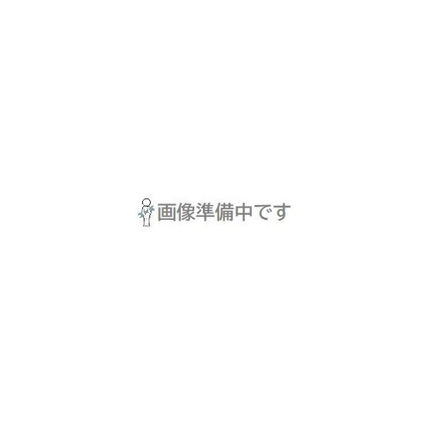 《商品説明》●豊富なバリエーションのサカエ天板。用途に合わせてお選び下さい。《商品スペック》●外寸：W1800×D750×H21mm●天板種類：サカエリューム天板●天板カラー：ダークグレー●天板厚：21mm●メーカー名：サカエオリジナルブラ...