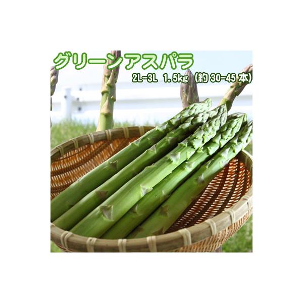 こんなデカイアスパラ見たことない 食べ応え 甘味た〜っぷり♪食べ応え抜群の幻サイズのグリーンアスパラをお届けします♪大切な人へのサプライズプレゼントや、頑張った自分へのご褒美にどうぞ 2L-3L 1.5kg（約30-45本）※本数は多少前後...