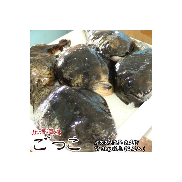 北海道道南で漁獲された美味しいごっこ 食べ方は簡単で昆布のだし汁に醤油を加え、ゴッコ、豆腐、長ネギなどを入れて煮ます。鍋やキムチの素を加えて食べても美味しいです。産地　北海道内容量　オスメス各2尾で計3kg以上（4尾入）※ごっこの特徴として...