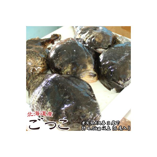 北海道道南で漁獲された美味しいごっこ 食べ方は簡単で昆布のだし汁に醤油を加え、ゴッコ、豆腐、長ネギなどを入れて煮ます。鍋やキムチの素を加えて食べても美味しいです。産地　北海道内容量　オスメス各3尾で計4.5kg以上（6尾入）※ごっこの特徴と...