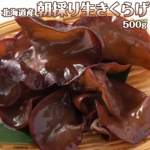北海道の大自然と澄んだ水でじっくり育てた、肉厚で極上のぷりぷり食感が自慢の「生キクラゲ」です。乾燥キクラゲとはまったく違う、みずみずしさと心地よい歯ごたえを産地直送でお届けします。徹底した衛生・温度管理：徹底管理された環境で、丁寧に育てた安...