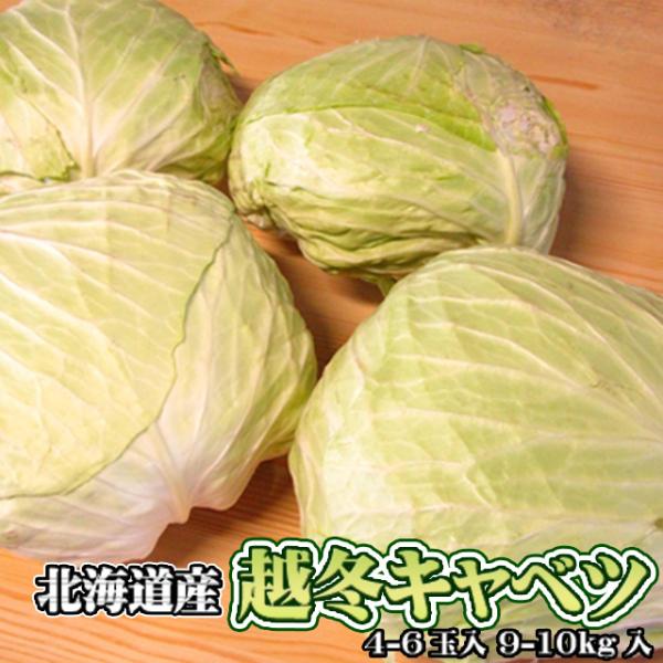 秋、収穫されたキャベツは畑で雪の下に貯蔵します。雪の下は、天然の冷蔵庫の様でキャベツはこの中でゆっくりと熟成され、甘みがあって美味しいキャベツになります。訳ありの理由は形が悪い、傷有り、割れなどが有る場合があります。傷んでいるものではありま...