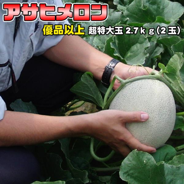 糖度は平均15度と非常に高く、果肉がしっかりしており、日持ちも良い。全く食べ飽きしないすっきりした味わいのアサヒメロンです。内容量　優品以上 超特大玉2.7kg×2玉　品種：ルピアレッド R113など産地　北海道保存方法　直射日光に当たらな...