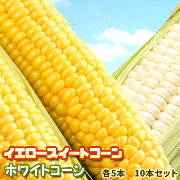 イエロースイートコーンとホワイトコーンセットにしてお届けいたします！名称 イエロースイートコーン　ホワイトコーンハーフセット内容量 L・2L混合（1本300g-400g前後）イエロースイートコーンはゴールドラッシュ、恵味コーン、恵味ゴールド...