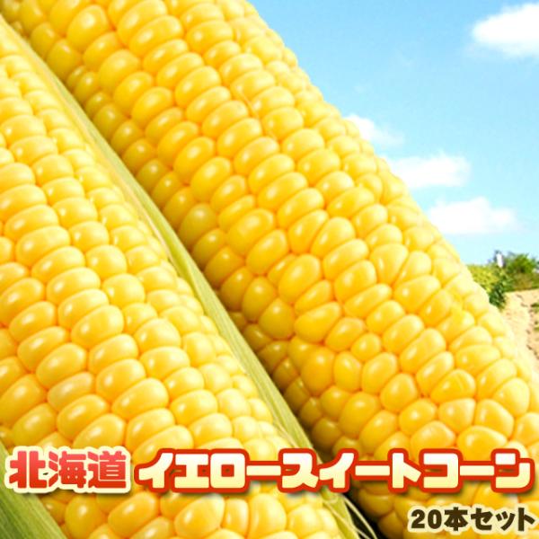 イエロースイートコーン（黄色い粒のとうもろこし）は粒皮が極めてやわらかく、さわやかな甘味で食味の良いとうもろこしです。季節や収穫場所などにより品種が異なるため種類の指定はできませんのでご了承の上ご注文をお願いいたします名称 イエロースイート...