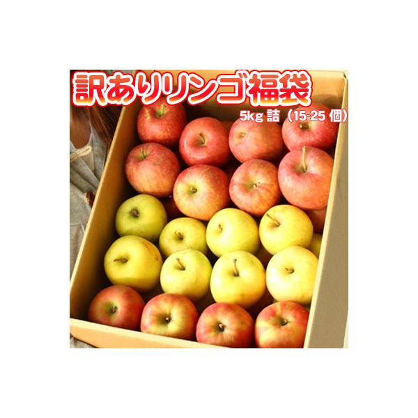 旬のとれたてリンゴが大集合 2種類以上は必ず入るお楽しみ福袋です 大きさバラつき有り、多少の傷、色が良くないなど見た目は良くありませんが、味は抜群に甘くてジューシーなりんごばかりです♪当店より美味しいりんごを厳選してお届け致します。お届けす...