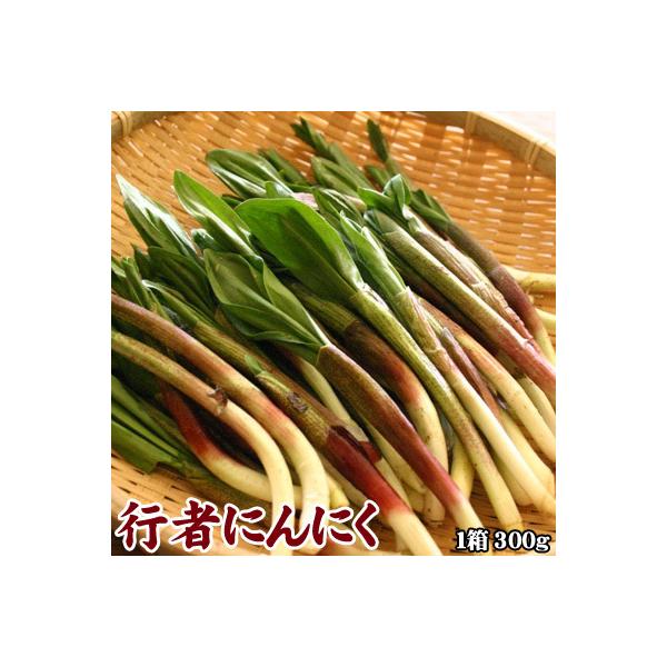 行者にんにくは名前のとおり、にんにくのような独特の強い香りがありますが、とても甘味があり、このシャキシャキとした歯ざわりと濃厚な香りがやめられません。内容量　1箱300g賞味期限　冷蔵保存で3日以内（生ものですので早めにお召し上がりください...