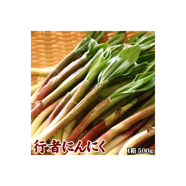 行者にんにくは名前のとおり、にんにくのような独特の強い香りがありますが、とても甘味があり、このシャキシャキとした歯ざわりと濃厚な香りがやめられません。内容量　500g賞味期限　冷蔵保存で3日以内（生ものですので早めにお召し上がりください）※...
