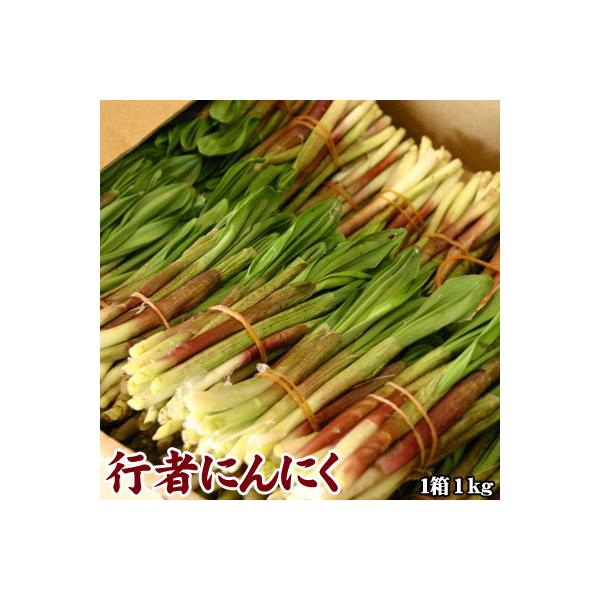 行者にんにくは名前のとおり、にんにくのような独特の強い香りがありますが、とても甘味があり、このシャキシャキとした歯ざわりと濃厚な香りがやめられません。内容量　1kg賞味期限　冷蔵保存で3日以内（生ものですので早めにお召し上がりください）※冷...