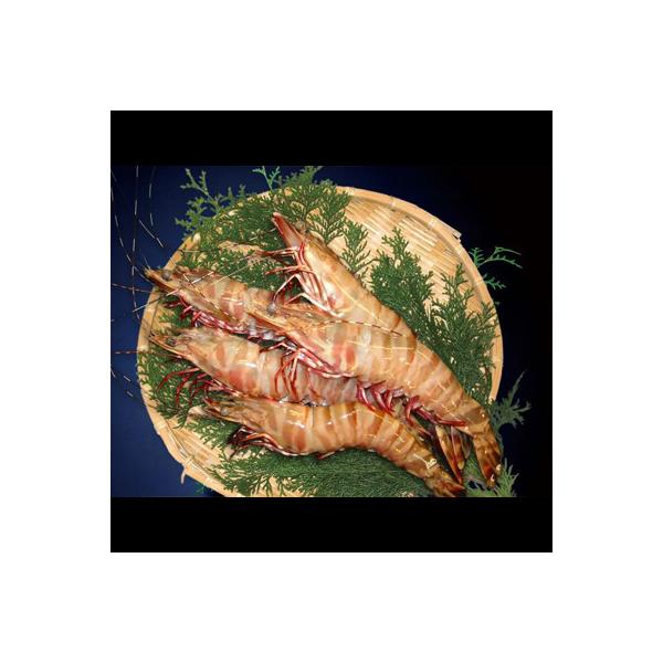 大きな海の天然えび(特大約22cmクラス)です。そこら辺には売ってません!沼での養殖ものと違い、味にコクがあります。船凍品ですので大変鮮度が良いのが特徴です。そのまま塩焼き、ジャンボえびフライなどにご利用下さい。御祝事や運動会にお勧め致しま...