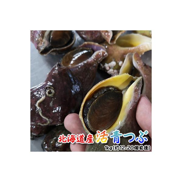 北海道で獲れた新鮮な青つぶ貝をお届けいたします。青つぶは、甘味があり、食感も良く、刺身、焼きつぶ、煮つぶに最適です。※脂（唾液腺）を取り除いてからお召し上がりください。調理法焼く 下ゆでをしてから、一度身を取りだして足の部分を割り、唾液腺を...