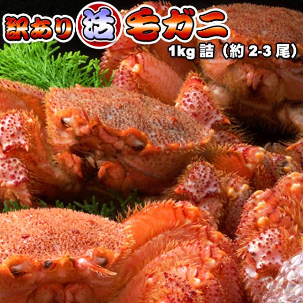 見た目はよくないが、味の方は変わりなく、とっても美味しい毛ガニです!!※尾数・オスメスの指定はできません。内容量  1kg詰（2-3尾入）産地 北海道産もしくはロシア産賞味期限　生ものですので早めにお召し上がりください。（茹で上げ後はその日...