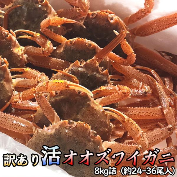 足折れ、足もげ、2枚皮、身入りバラつきありなど見た目が良くありませんので贈り物にはちょっと向いていないオオズワイガニです。そんなカニさんをご家庭用、蟹パーティー用としてご用意致しました。自宅で食べるにはこれで十分！味の方も普通の蟹と全く変わ...