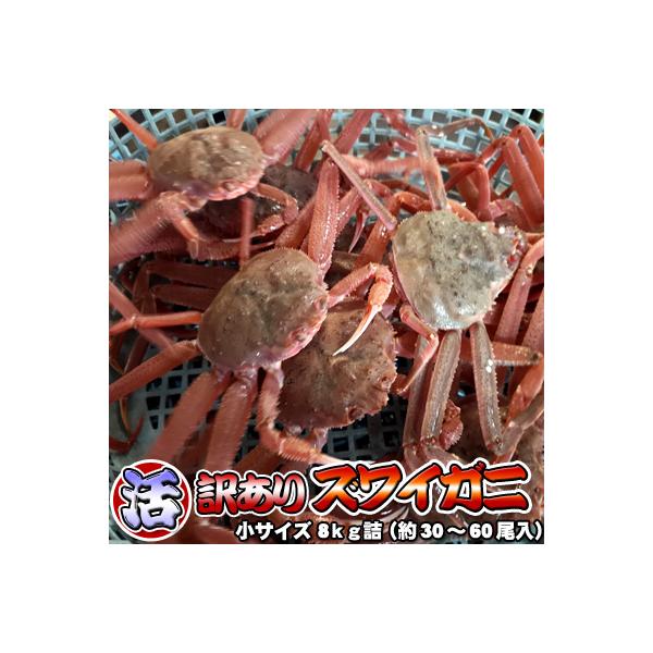 足折れ、足もげ、身入りバラつきありなど見た目が良くありませんので贈り物にはちょっと向いていないオオズワイガニです。そんなカニさんをご家庭用、蟹パーティー用としてご用意致しました。自宅で食べるにはこれで十分！味の方も普通の蟹と全く変わりなく美...