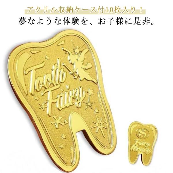 3.7*2.6cm（約24g）日本で「抜けた下の乳歯を屋根裏へ、上の乳歯を床下に投げる」とネズミのように強い歯が生えてくるというおまじないがあるように国外でも歯にまつわる風習・文化があります。アメリカ・ニュージーランド・イギリス（地方によっ...