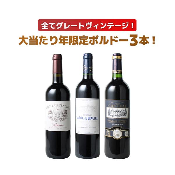 ワインセット　ワイン　家飲み　パーティ　おすすめワイン　ギフト　おすすめ　　酒のやまいち　クリスマス　誕生日　母の日　父の日　記念日　まとめ買い　ソムリエおすすめ　お歳暮　お中元