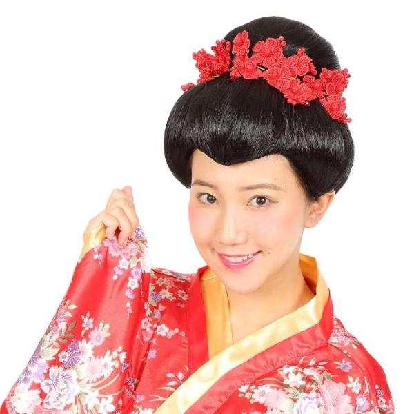 人気カツランドシリーズ。