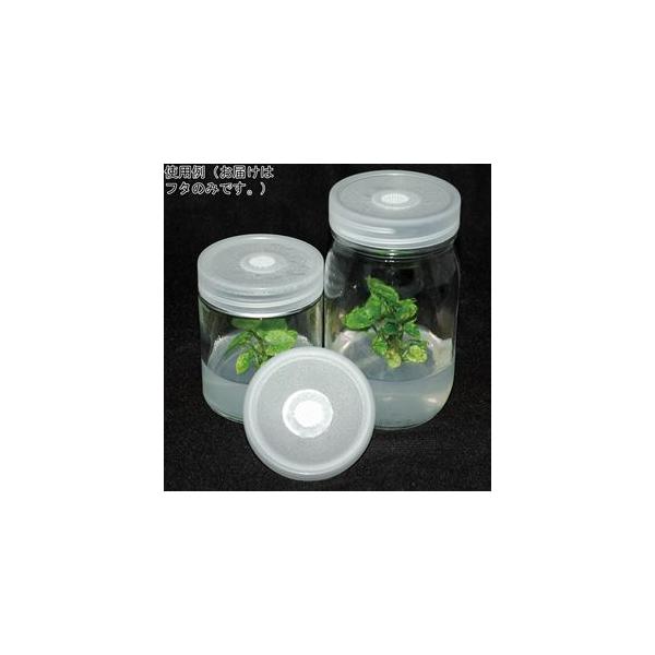 【カタログあり】【お見積もりOK】★12%OFF★4-4848-04 植物培養容器 ベント付きフタ 10個入 C170-10EA JANコード:4582619642940