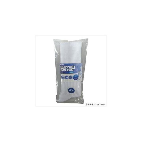 【カタログあり】【お見積もりOK】★12%OFF★7-1926-13 2足組紳士ソックス 24〜26cm FE0102 JANコード:4973077193783