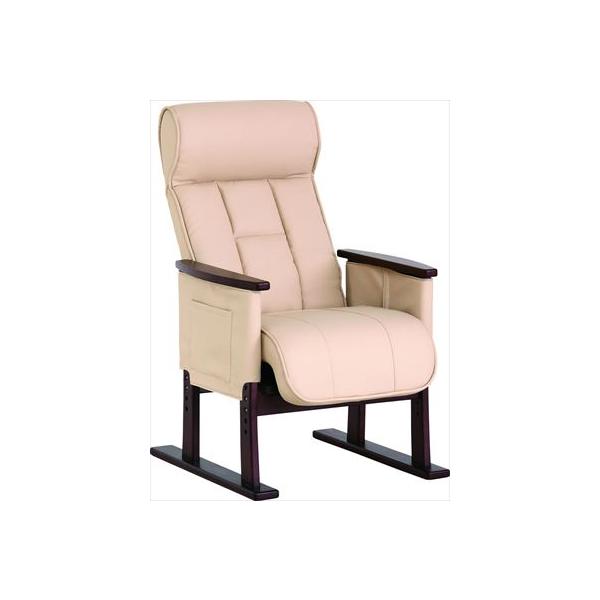 【お見積もりOK】【送料無料】★32%OFF★(A3061)立ち上がり補助付パーソナルソファ 409-SAC(グローリープラン)(all-a3061)(all-a3061)