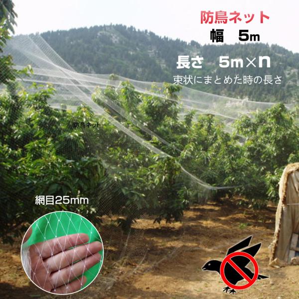 農業資材の防鳥ネットです。幅5mまで展開でき、束状にまとめた時の長さは5mです。網目：25mm,素材：ナイロン,色：透明(※端を分かりやすくするため、ネットの両端に緑色のラインが入っております。),ナイロン製だから、他社のポリエチレン製品よ...