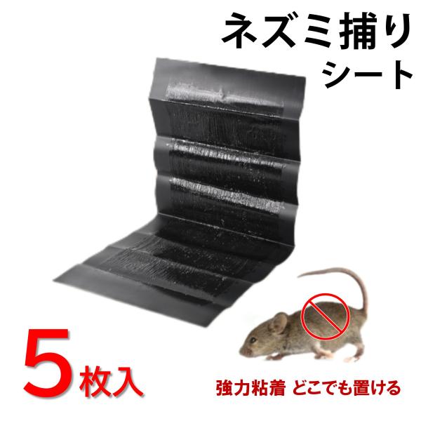 ネズミ被害にお悩みの方へ!ナッツの香りでネズミを誘い込み、強力な粘着力で確実に捕獲します。折りたたみ式なので手を汚さず、コンパクトでかさばらないため、持ち運びや保管も簡単です。使用方法も簡単で、まずシートを閉じて粘着面を合わせて開き、その上...